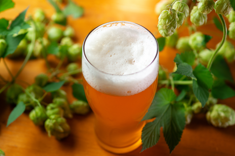 Crafting the Perfect IPA: A Homebrewer's Guide