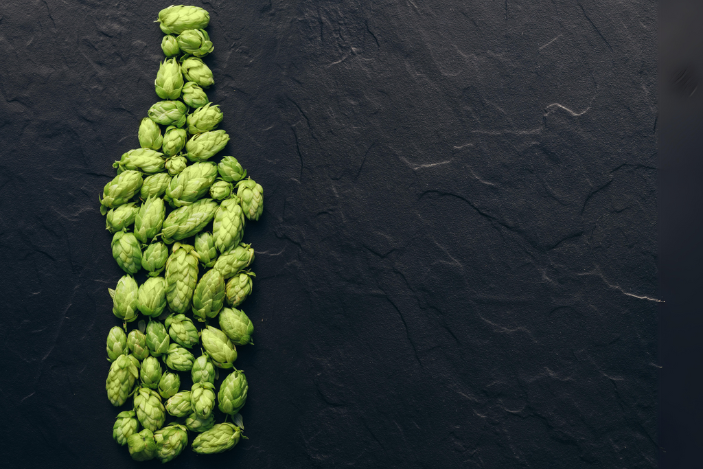 Hops: The Hoppy Heart of Your Favourite Beer
