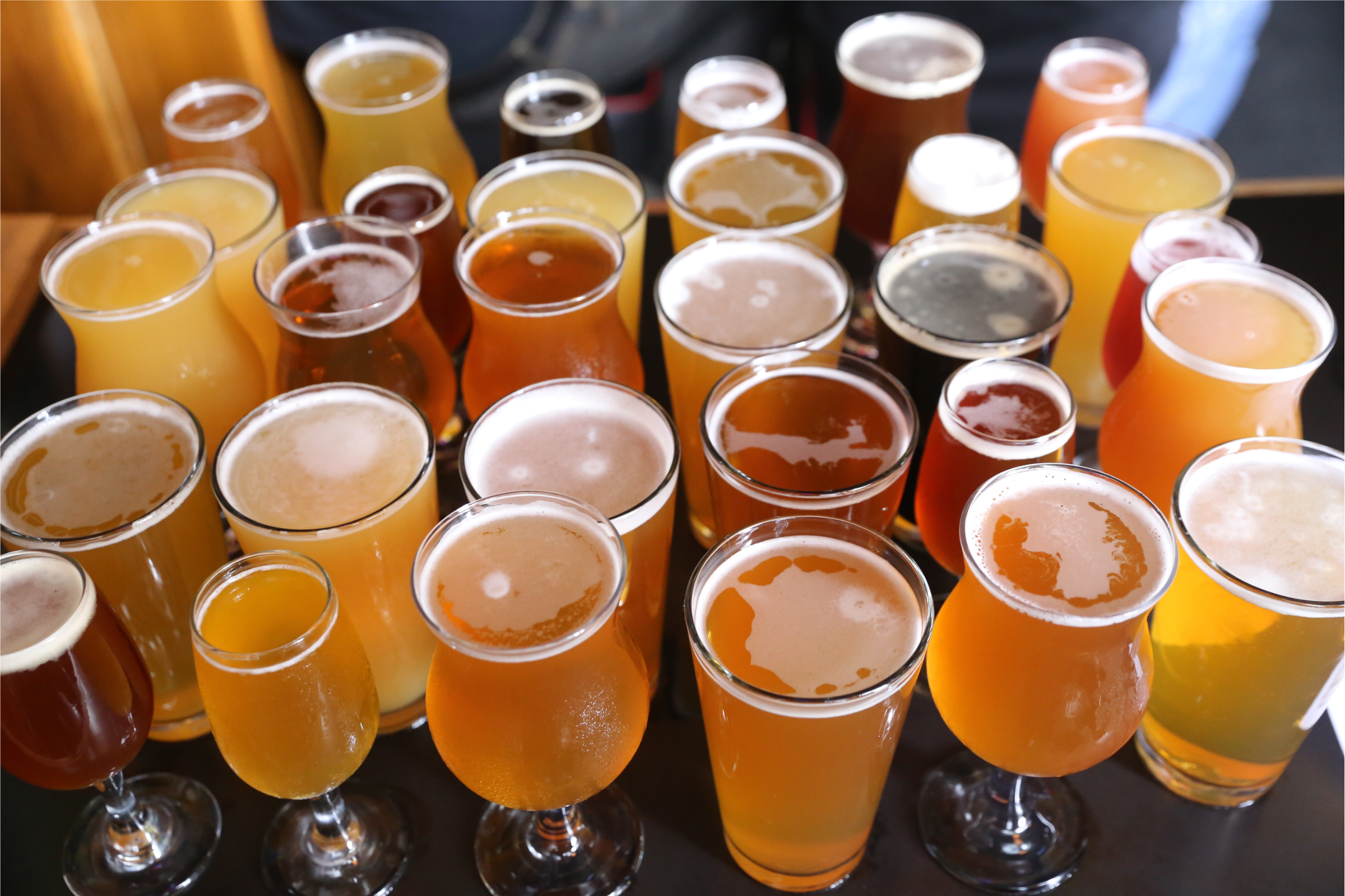 The Complete IPA Style Guide: Brew Every Style